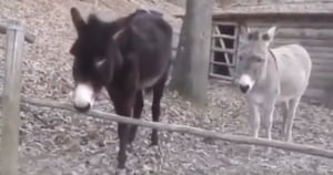 Soul snatcher 3000!! I’m dying!!! Lol - 9GAG