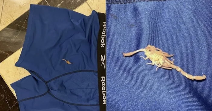 Daring Designer Sends Models Down Catwalk in Swimwear Made Of Tape - 9GAG